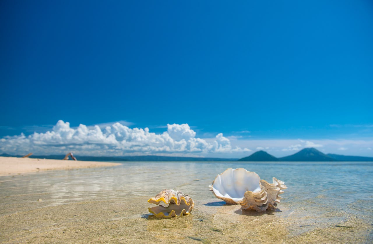 Explore Kouderika Beach in Papua New Guinea with a Local Driver with a ...