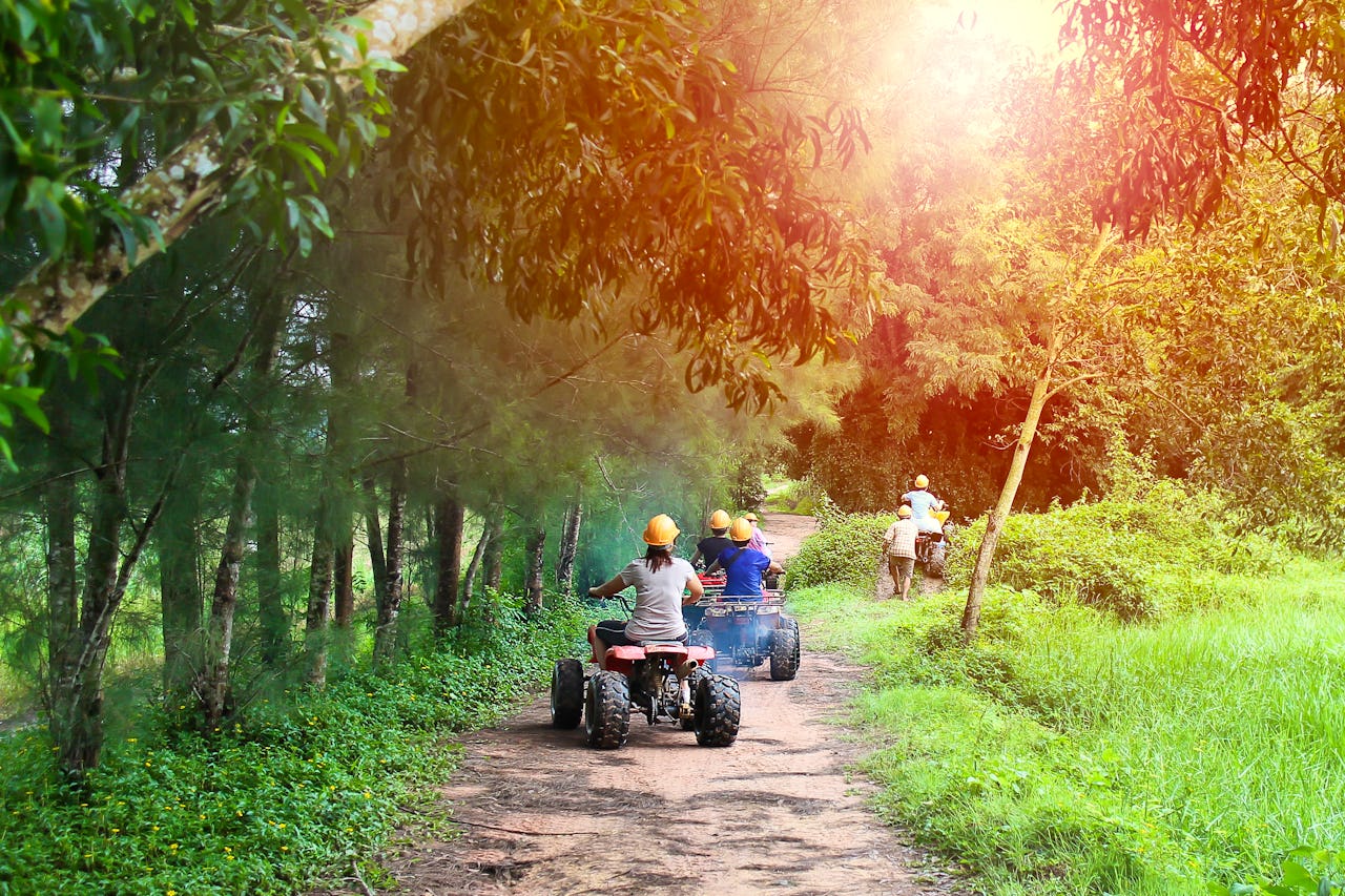 Explore Carabali Rainforest Park in Puerto Rico with Optional ...