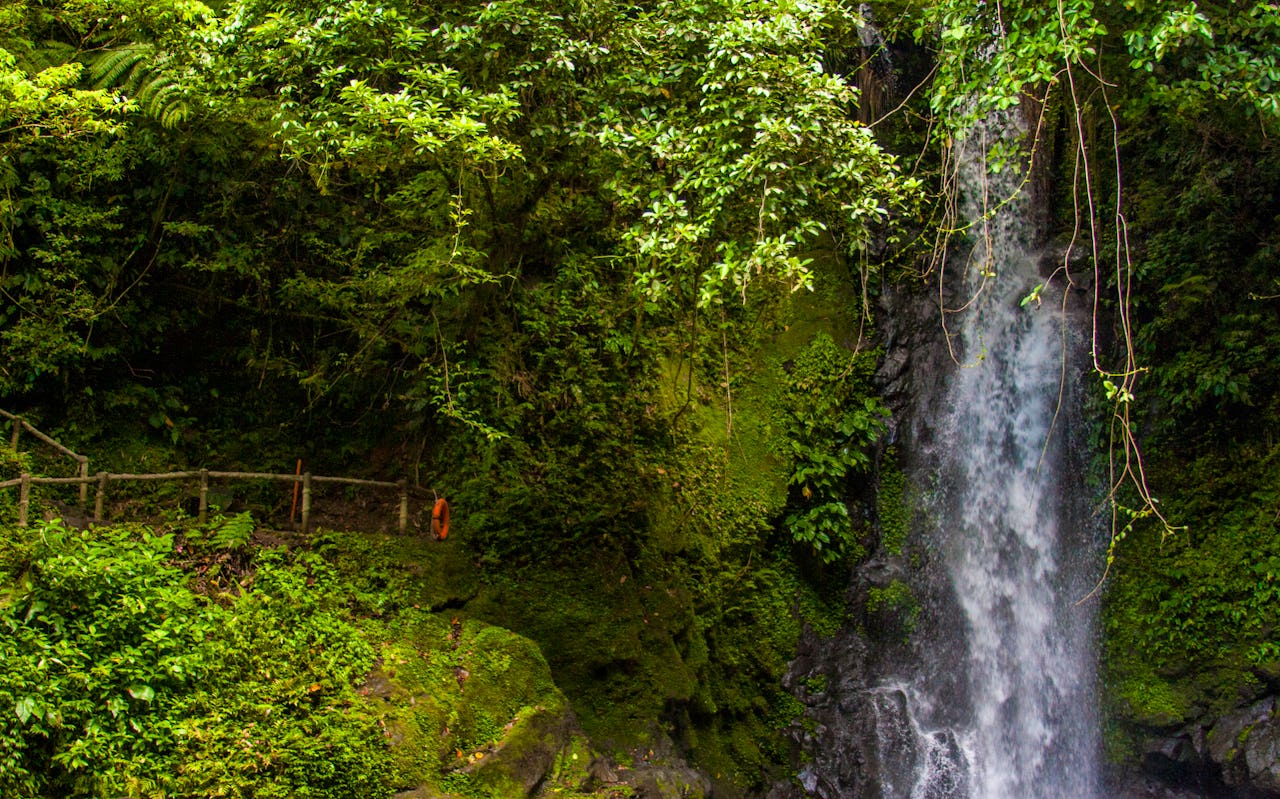 Uncover Malabsay Falls in Philippines with Optional Sightseeing with a ...