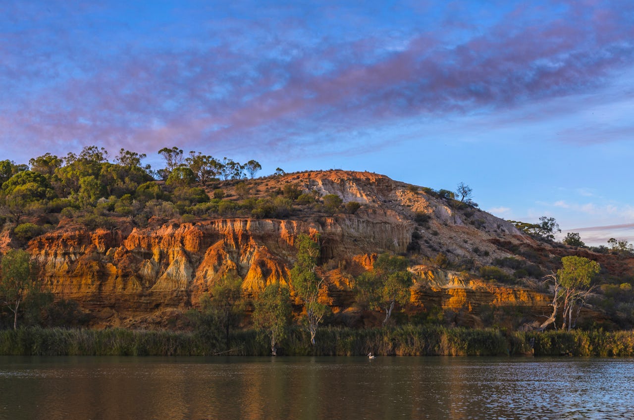 Discover Murray River National Park in Australia with a Private Driver with a Daytrip Car Transfer