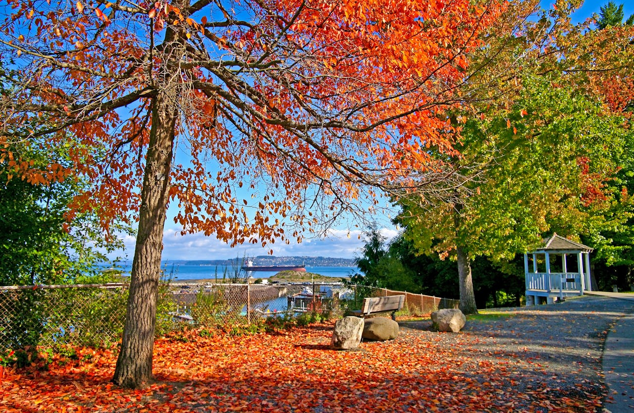 Uncover Point Defiance Park in United States with Optional Sightseeing ...