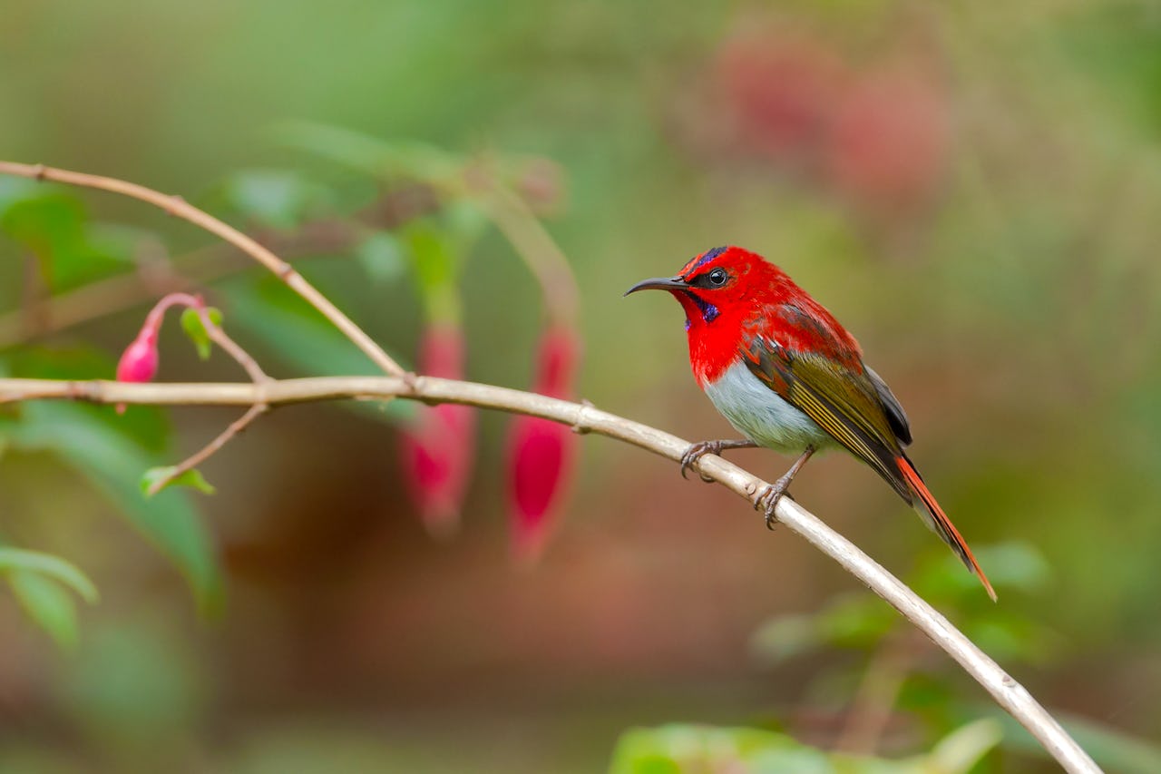 Discover Rasa Ria in Malaysia with a Local Driver with a Daytrip Car ...